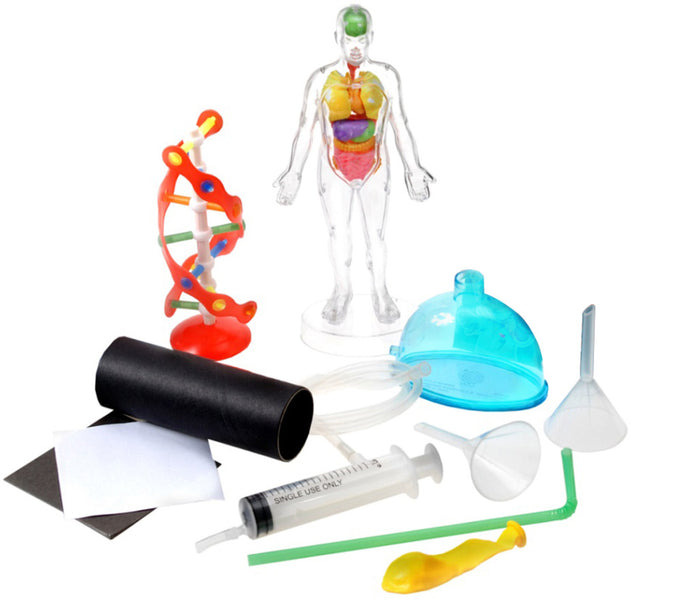 Human Anatomy Kit — Vivitar.com